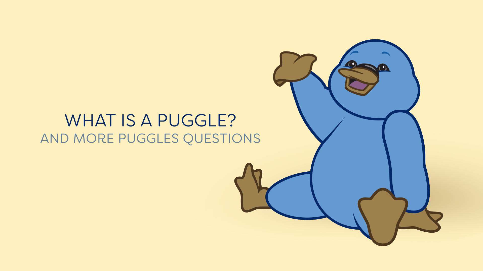 Puggles General Questions | Awana